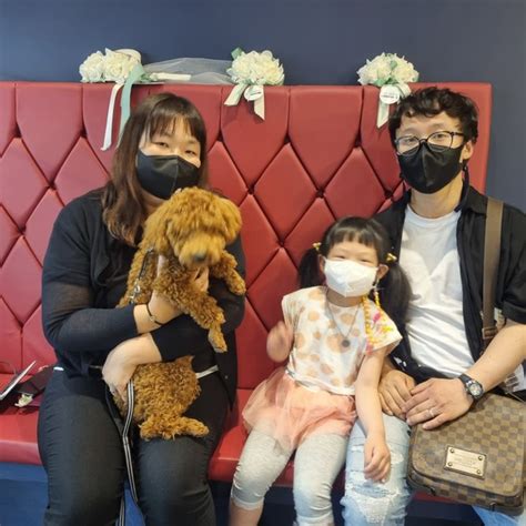 울산 2021 0074 푸들 호랑이 책임분양 푸숑특징 고양이특징 랙돌특징 러시안블루특징 먼치킨특징 브리티쉬숏헤어특징 노르웨이숲특징 데본렉스특징 뱅갈특징 샴특징 셀커크렉스