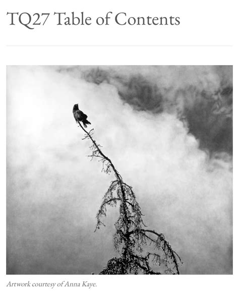 Marisa Siegel On Linkedin Ive Got An Outtake From Fixed Stars In The