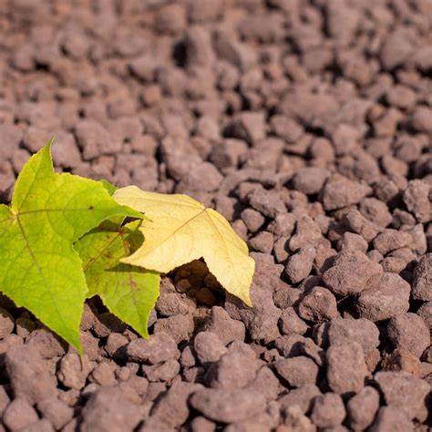 Чакъл от лава Росо 10 20 мм Piatraonline Bg