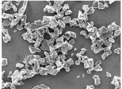 Jis Z 8901 Class 15 Jaca At ₹ 25000 Tonne क्वार्ट्ज सैंड In Faridabad Id 2856327329897