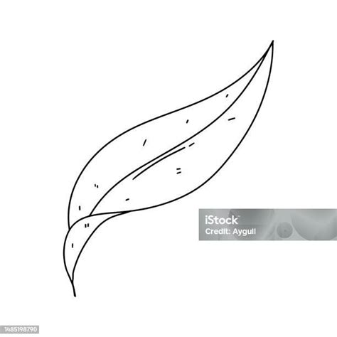 손으로 그린 낙서 스타일에 귀여운 나뭇잎 흰색 배경에 분리된 벡터 그림입니다 식물 식물 요소 색칠 공부 0명에 대한 스톡 벡터 아트 및 기타 이미지 Istock