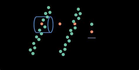 This Schematic Shows The Components Involved In The Collocation Of Download Scientific Diagram
