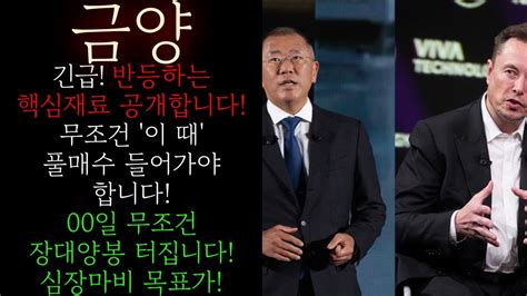 🔵 금양 긴급 류광지 회장의 추가 결단 유상증자 정상 진행을 위한 비장의 카드 외인 기관이 쓸어담은 진짜 이유입니다 무조건 이 때까지 버티세요 금양목표가