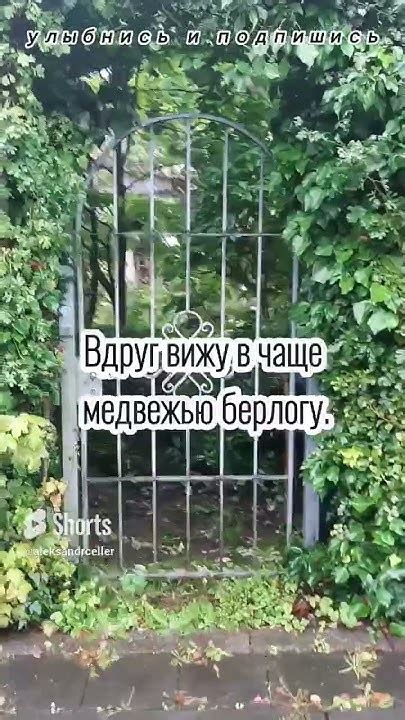 шарик и охотник анекдот самый смешной новый топ Youtube