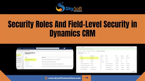 Security Roles And Field Level Security In Dynamics Crm Skysoft Connections