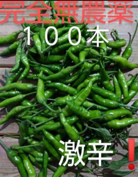 黄金唐辛子 青唐辛子 激辛唐辛子 生青唐辛子 10月4日17時収穫 メルカリ