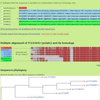 Multiple Alignment And Sequence Phylogeny Download Scientific Diagram