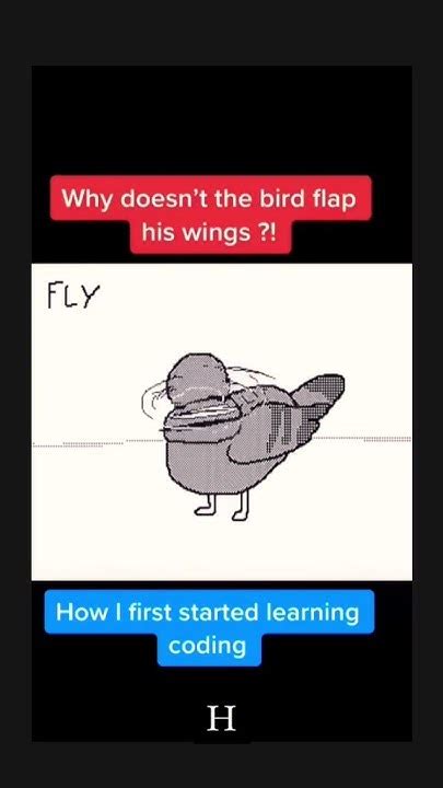 Coding Memes 😂coding Shorts Codingmemes Memes Ytshorts Youtube