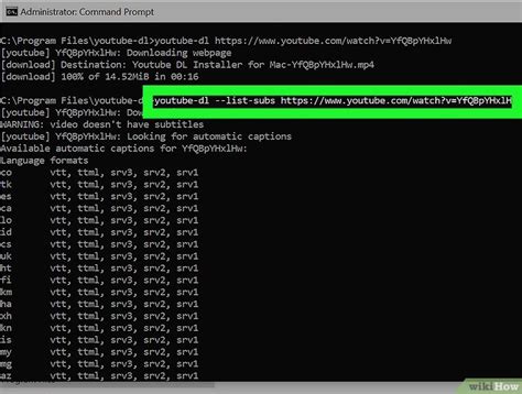 How To Use Youtube Dl To Download Videos