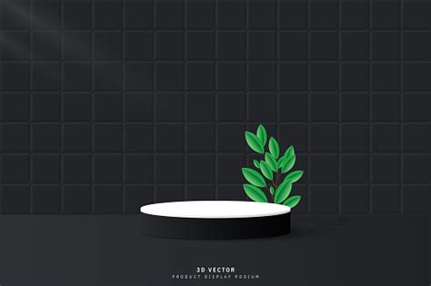 흰색 검은색 3d 실린더 연단 또는 검은색 세라믹 타일 벽 배경에 잎 가지가 있는 쇼 제품을 위한 무대 쇼 제품에 대한 최소한의 장면 3d 벡터 기하학적 형태 디자인 0명에
