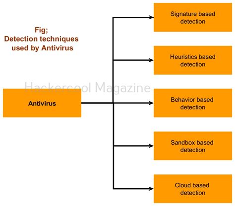 Beginners Guide To Antivirus