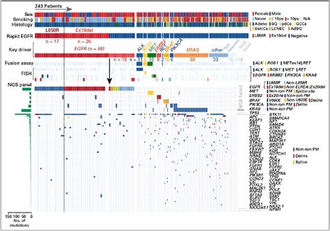 Figure 3 From Clinical Utility Of Rapid Egfr Genotyping In Advanced Lung Cancer Semantic Scholar