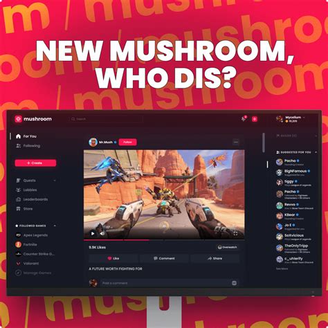 Mushroom Blaze Resources Top Discord Apps