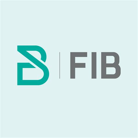 About Us First Iraqi Bank Fib
