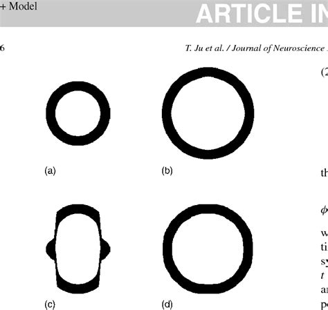 Figure 3 From Abstract Journal Of Neuroscience Methods Xxx 2006 Xxx Xxx Semantic Scholar