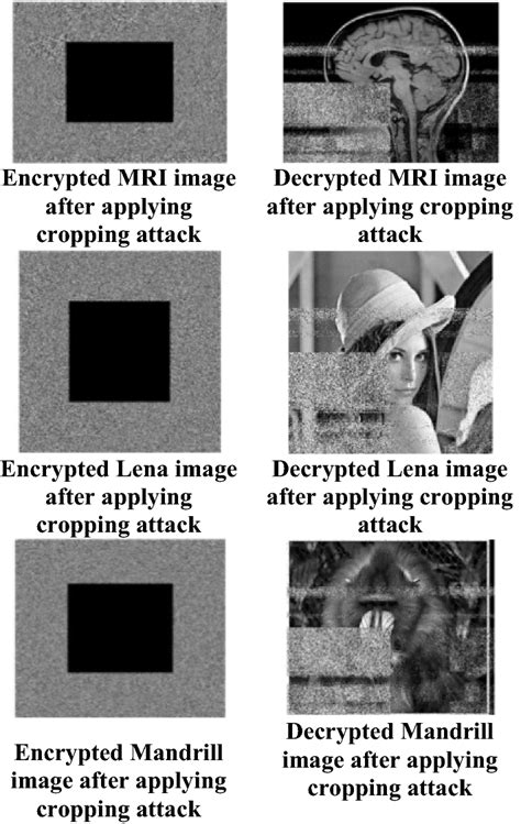Encrypted And Decrypted Images After Applying A Cropping Attack 25