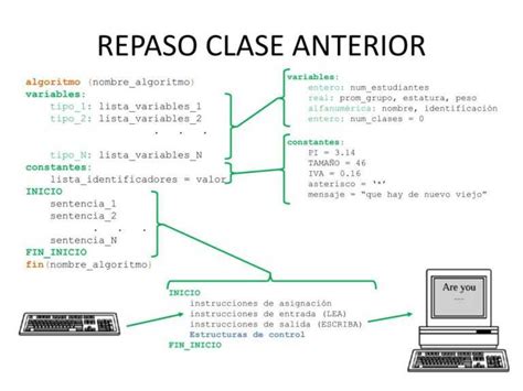 aprende y aplica algoritmos y estructuras de datos en proyectos reales