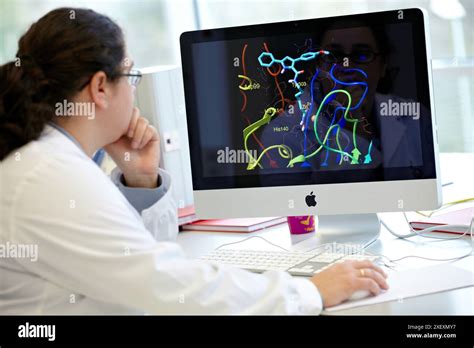 Docking 3d Computational Model To Simulate The Molecular Dynamics Of