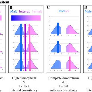PDF Genetic Gonadal Genitals Sex 3G Sex And The Misconception Of Brain And Gender Or Why