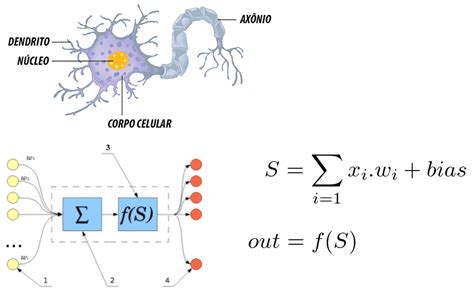 Diagramma Neuronale Senza Etichetta
