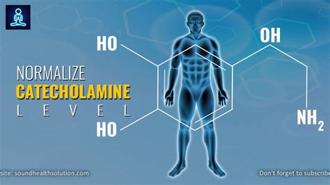 Increase Dopamine Subliminal Binaural Beats For Dopamine Release Youtube