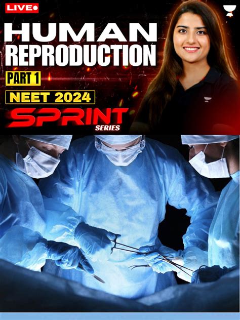 Human Reproduction 1 Pdf Testicle Reproductive System
