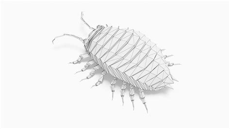 3d Model Bug Turbosquid 1941356