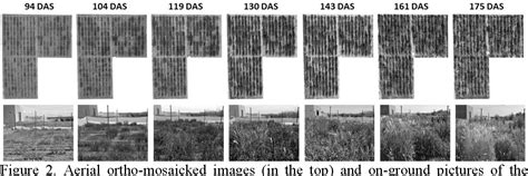 Figure 2 From A Uav Based System For Monitoring Crop Growth In Wheat