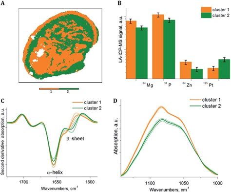 Cluster Image Obtained By K Means Clustering Of The Fused Ir And Ms Download Scientific Diagram