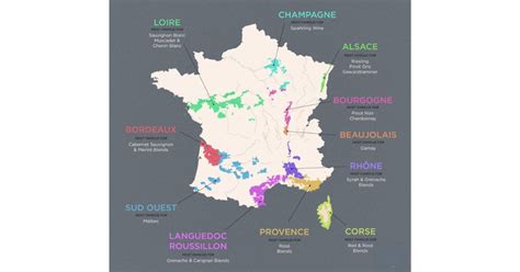 Your Wine Guide To France