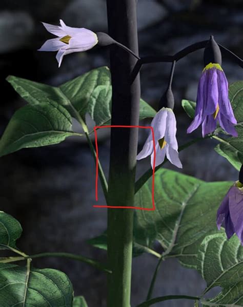 Layeredmaterial Speedtree Unity Discussions