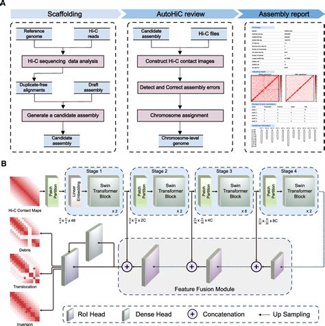 Figure 1 From A Deep Learning Based Method Enables The Automatic And Accurate Assembly Of
