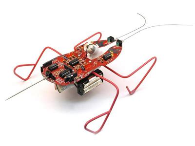 Beam Bot The Best Picture Of Beam