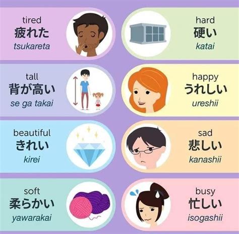 langwid learn japanese widget and flashcard langwid learn language