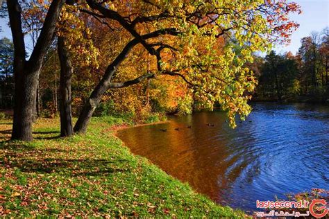 بی نظیرترین عکس های پاییزی 🍂 لست سکند