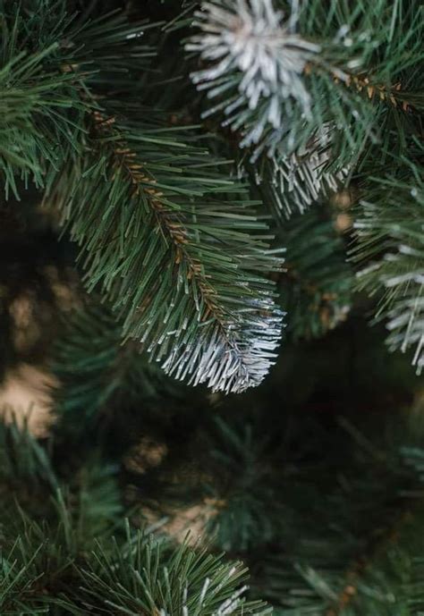 🇺🇦 Укр Хата Преміум ялинка з засніженими кінчиками