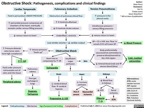 Shock Calgary Guide