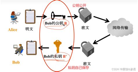 网络安全andand密码学对称密码和公钥密码谁的密文更紧凑 Csdn博客