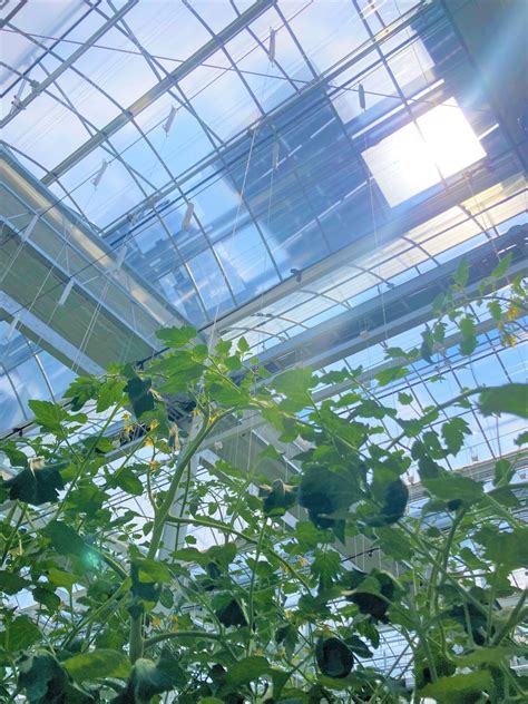 한화솔루션 태양광 스마트팜으로 기후위기 대응