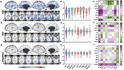 Associations Between Regional Sc Fc Coupling And Age Sex And Total