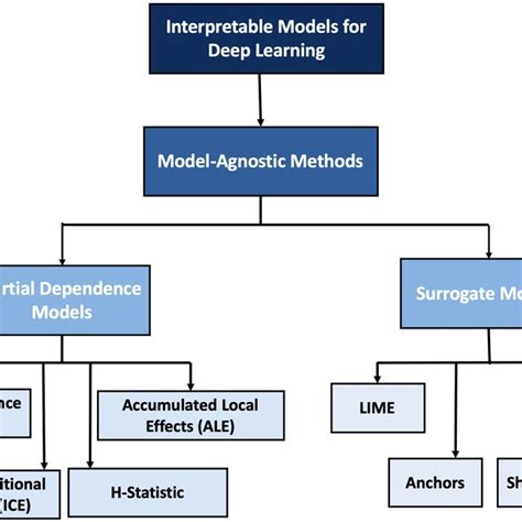 Most Relevant Model Agnostic Methods Proposed In The Literature Download Scientific Diagram