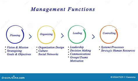 Functions Cartoons Illustrations And Vector Stock Images 5931 Pictures