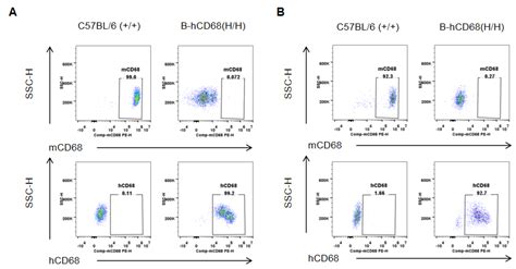 Human Cd68 Mice Gene Humanized Models Biocytogen