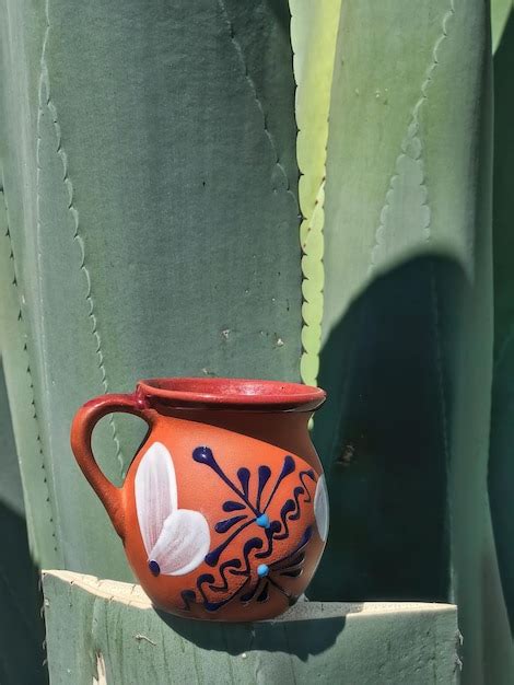 Premium Photo Pulque And Maguey The Essence Of Mexico Rich Cultural