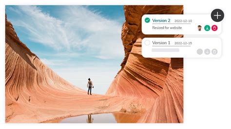 Build Manage And Grow Your Brand With Canto Canto