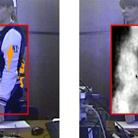 An Example Of The Visualization Of Terahertz Data In The Industrial