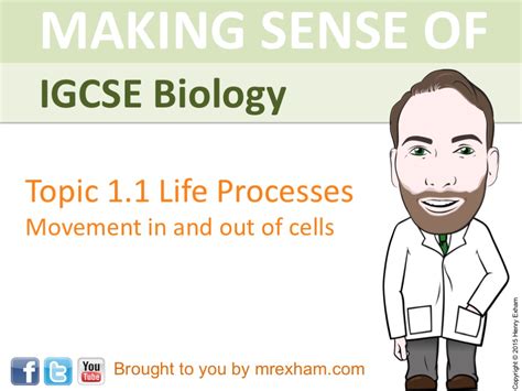 Igcse Biology Movement In And Out Of Cells Teach In A Box