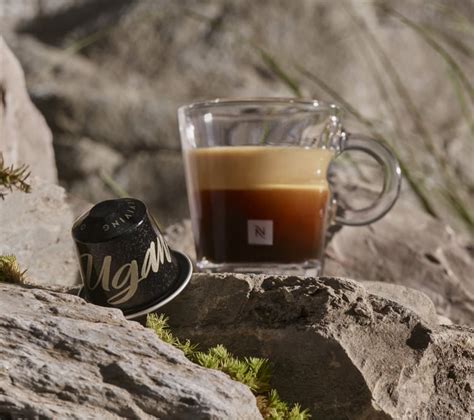 فنجان پیکسی نسپرسو سایز لانگو وین لانگو ماگ نسپرسو فنجان پیکسی نسپرسو