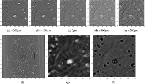 Figure 1 From Computational Model For Simulating Multifocal Imaging In Optical Projection