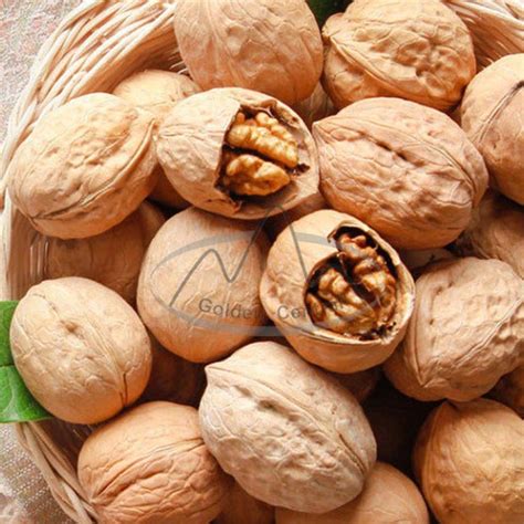 Walnut Good Size Top White Xinjiang Half Kernel Walnut China Walnut